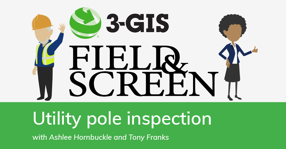 Gathering data in the field while performing a utility pole inspection